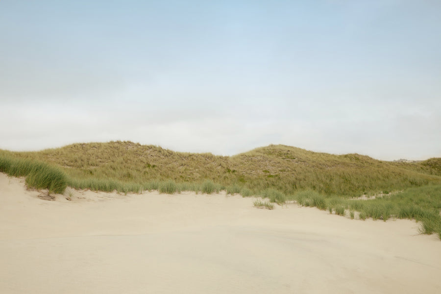 ALL – RE:DESIGNED PROJECT